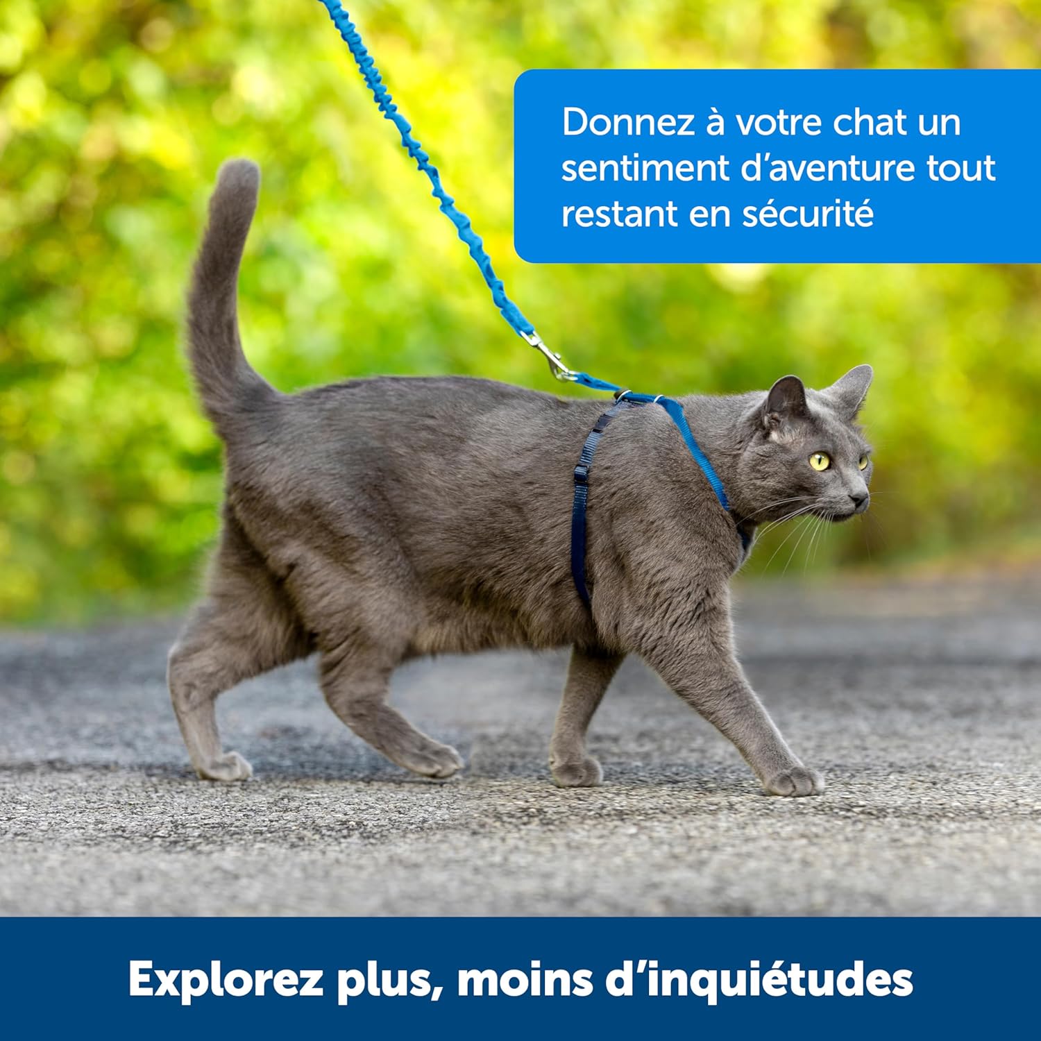 Pet Safe Easy Walk Cat Harness & Lead (Royal Blue, Small) Cat Harnesses